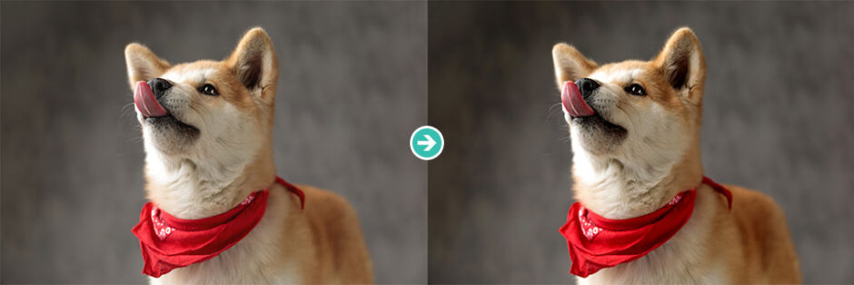 【Photoshop】レベル補正の使い方を徹底解説forフォトショ初心者 | S.Design.Labo