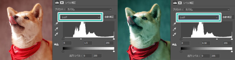 【Photoshop】レベル補正の使い方を徹底解説forフォトショ初心者 | S.Design.Labo