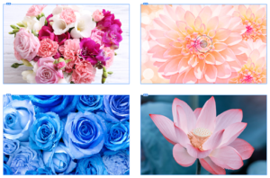 【InDesign】カラーテーマツールの使い方を徹底解説forインデザ初心者 | S.Design.Labo